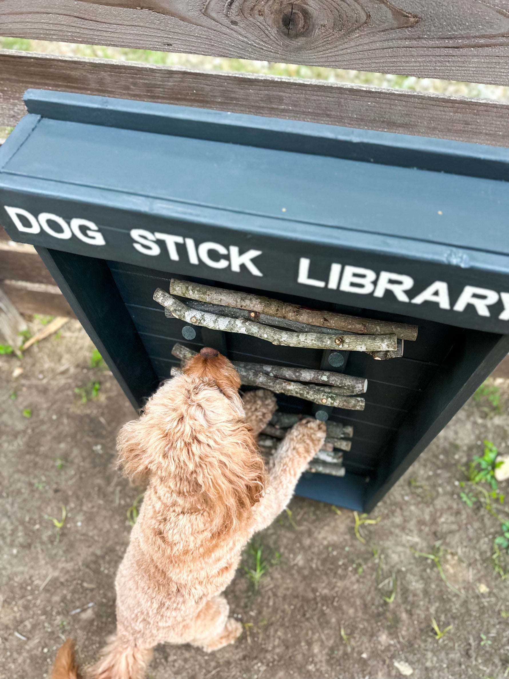 Tito's Dog Stick Library Shop